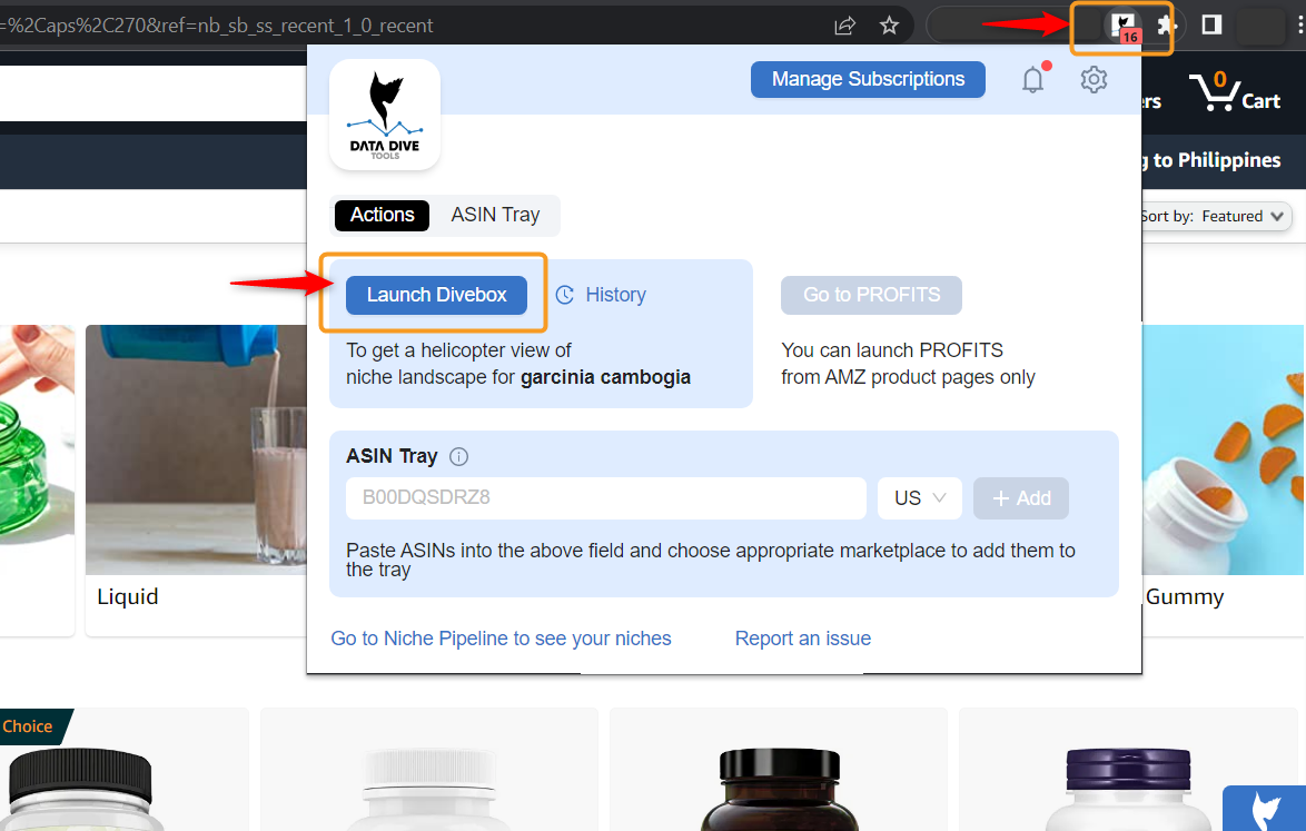 How to Start a Dive – DataDive