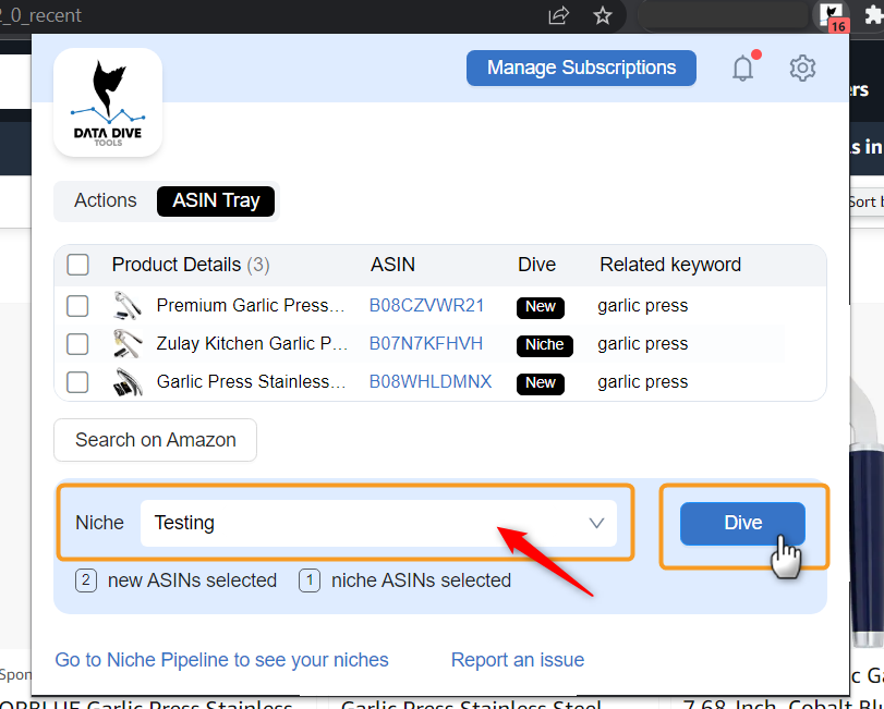 How to Start a Dive – DataDive
