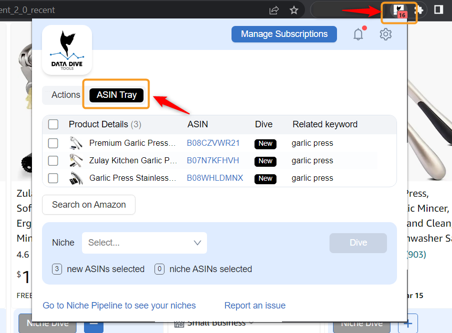 How to Start a Dive – DataDive