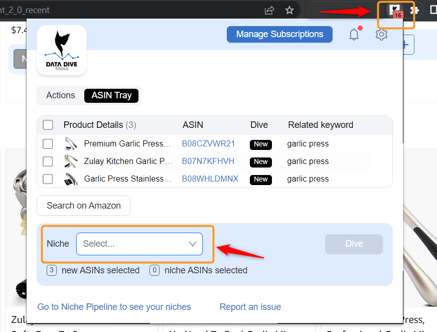 How to Start a Dive – DataDive